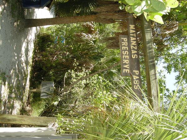 Hiking Matanzas Pass Preserve - FORT MYERS - Beach Observer and Beach ...